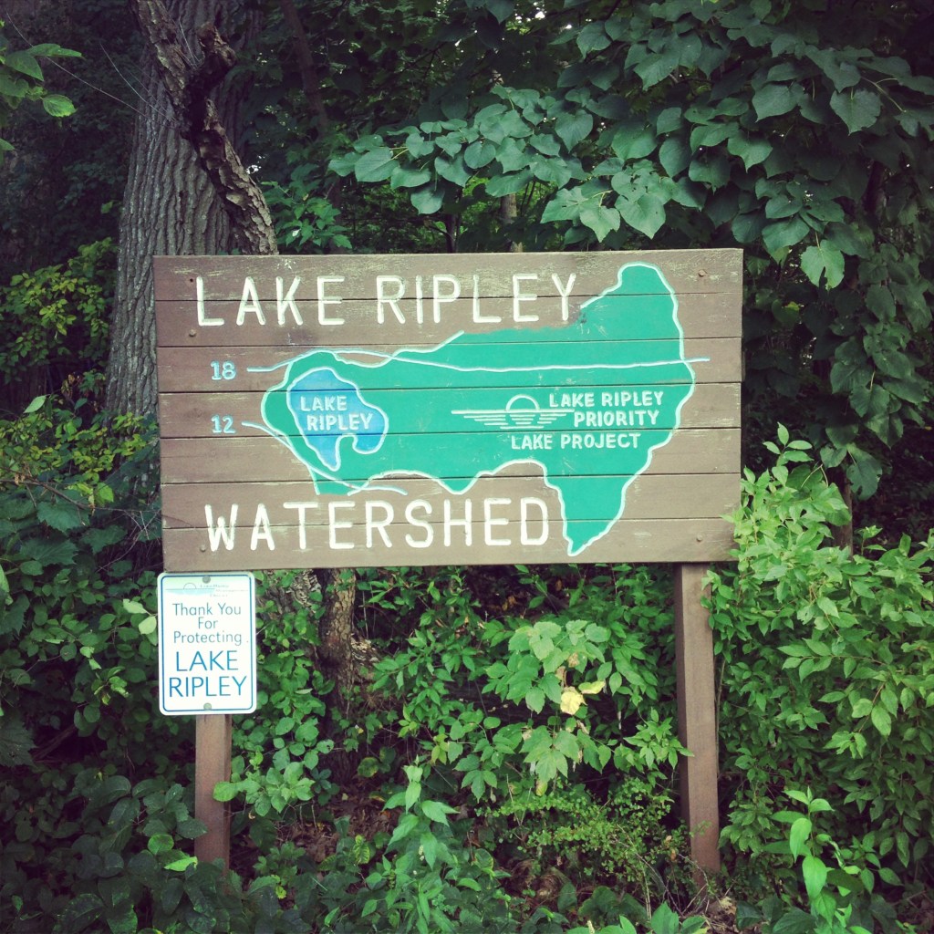 lake ripley watershed – Kate Catherall